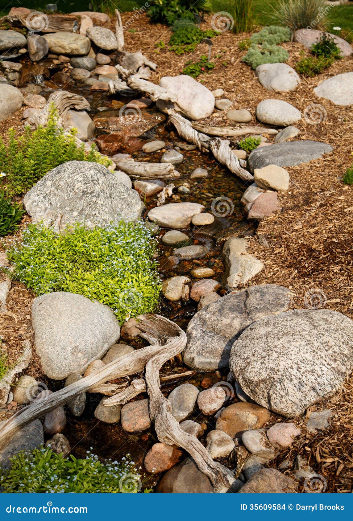 Pebbles in the Stream stock photo. Image of brook, forest - 35609584