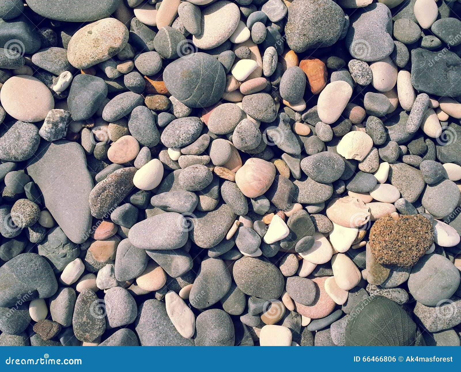 Pebbles stock photo. Image of mineral, shale, pebbles - 66466806