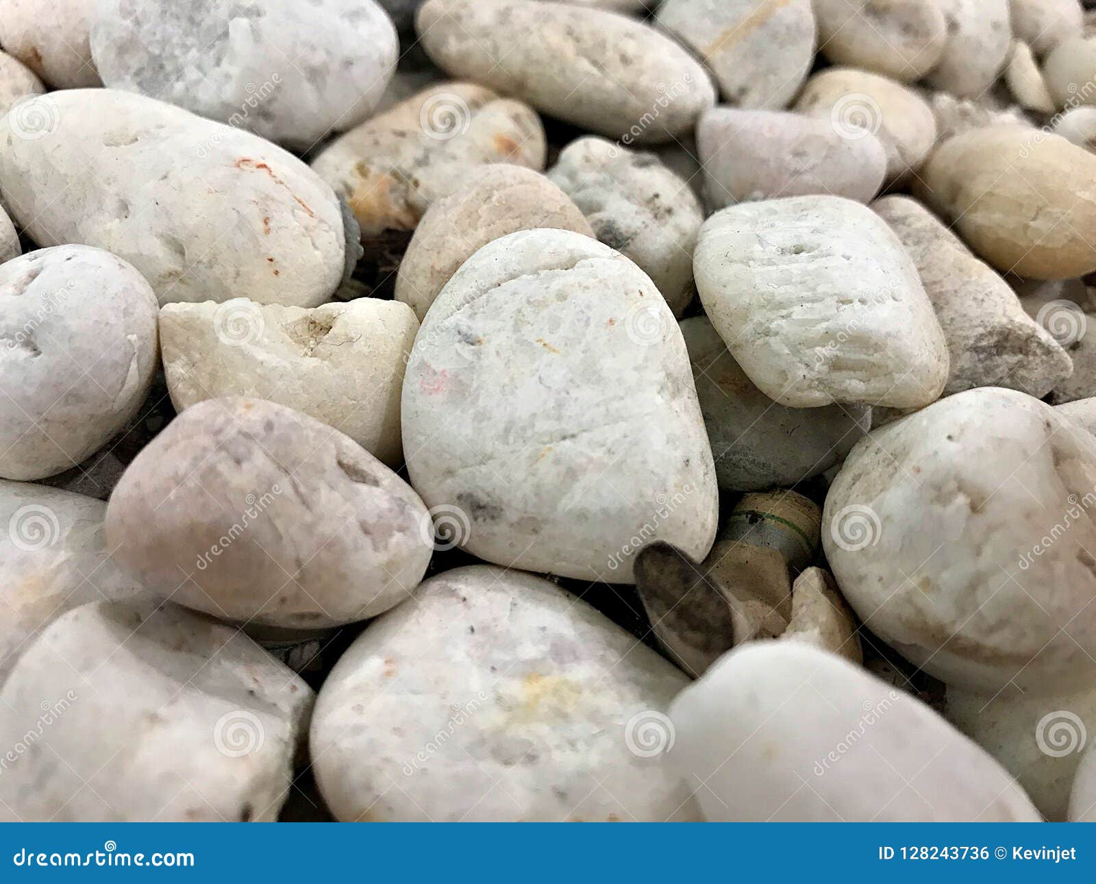 The Pebbles on the Tree Pot Stock Photo - Image of concept, backdrop ...