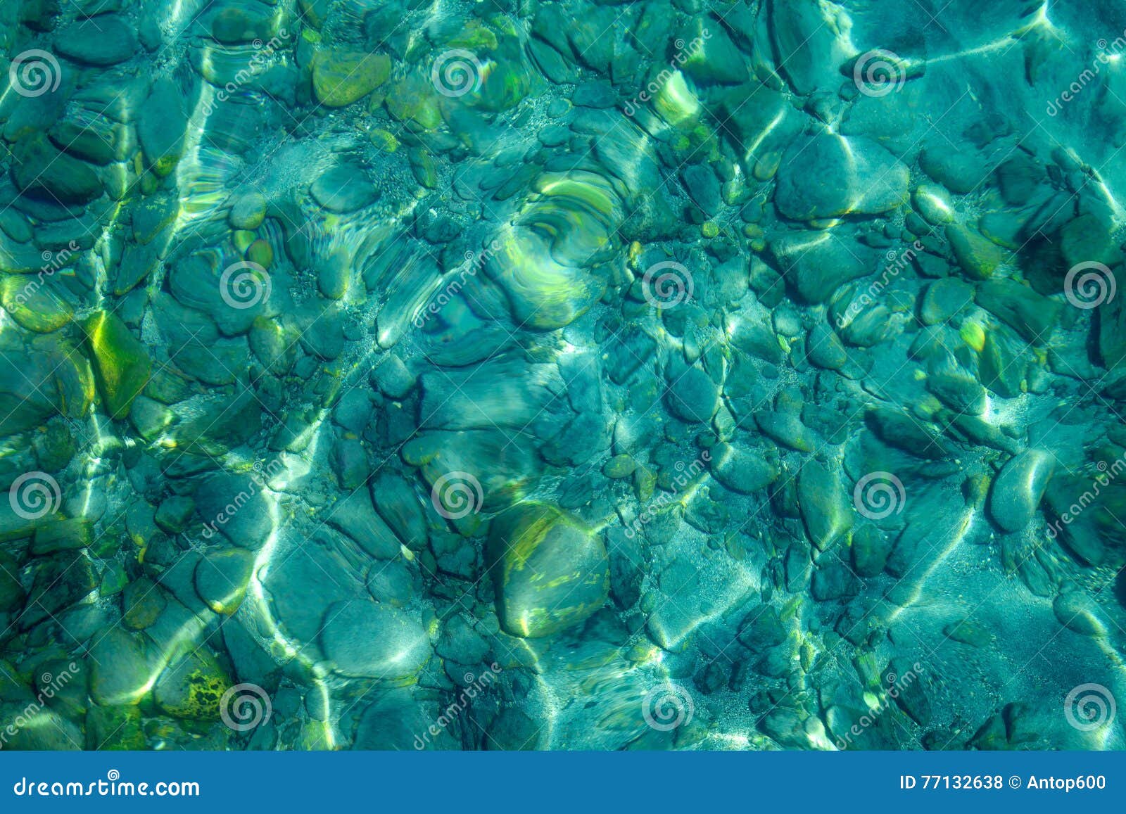 Pebbles under clear water stock photo. Image of aqua - 77132638