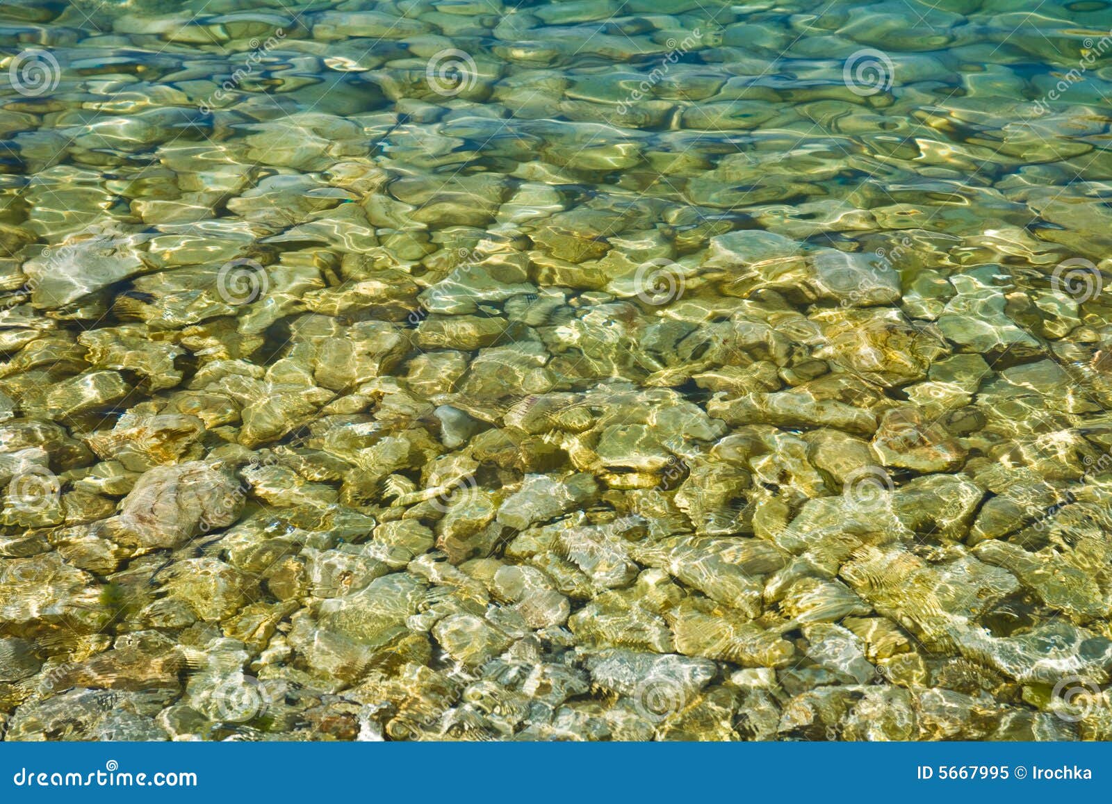 Pebbles under water stock image. Image of natural, background - 5667995