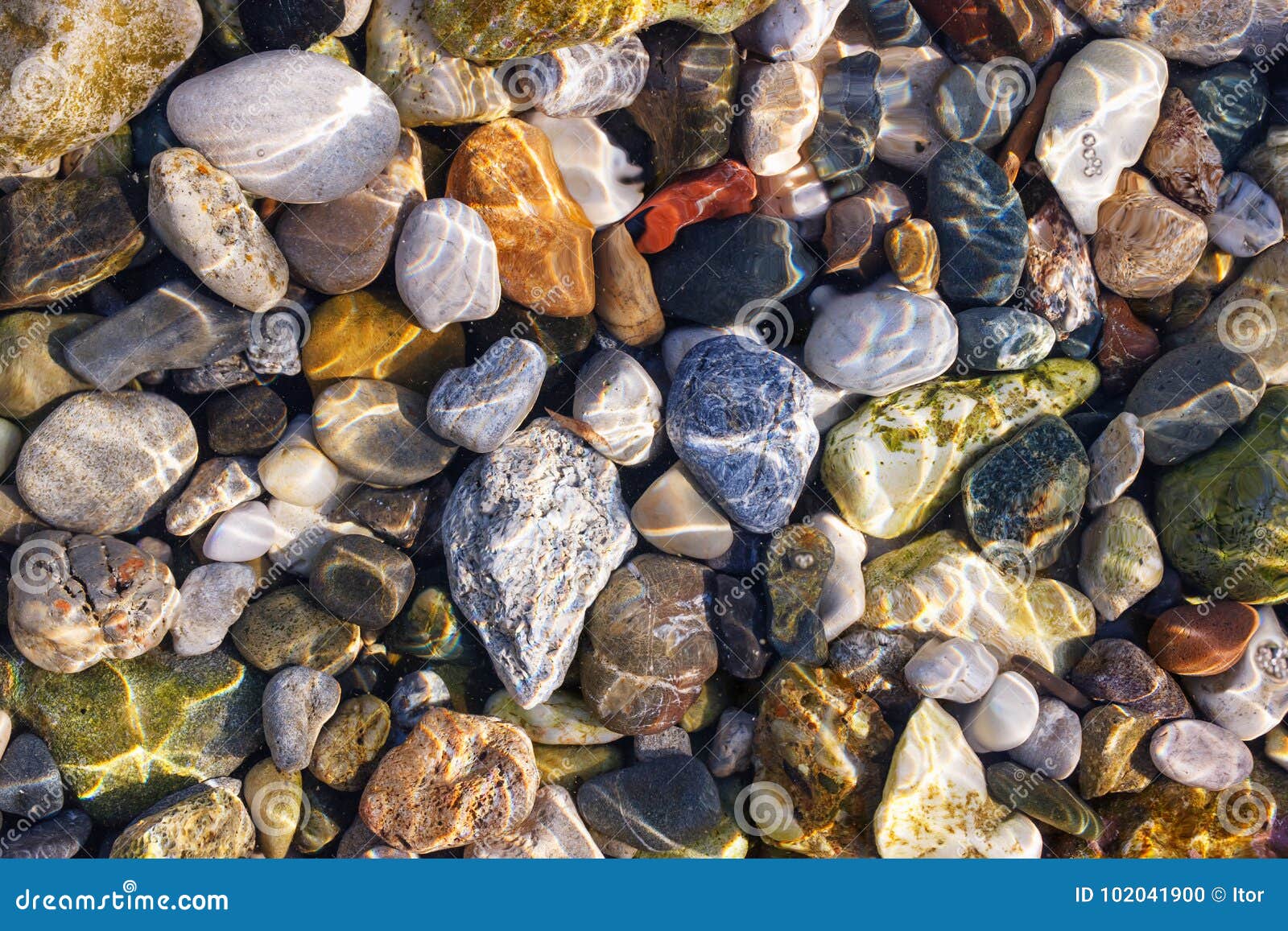 Pebbles under the water stock photo. Image of pebble - 102041900