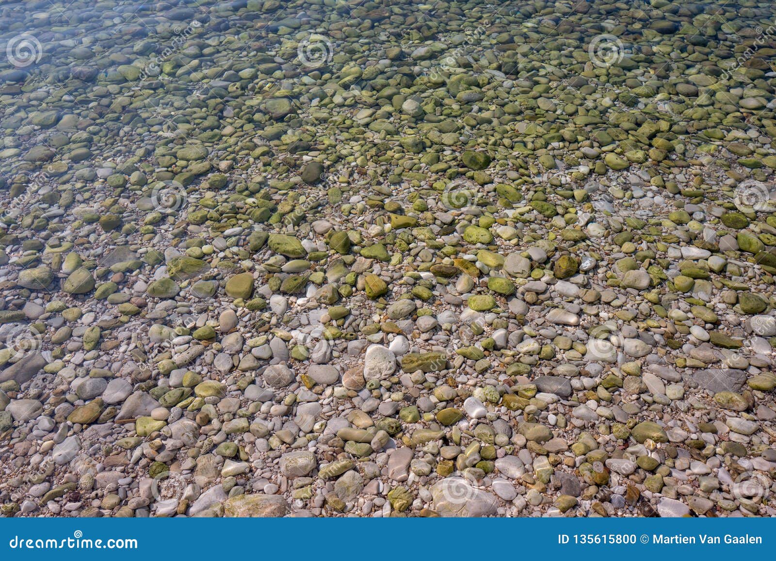 Pebbles Underwater with Algae on the Seabed. Stock Photo - Image of ...
