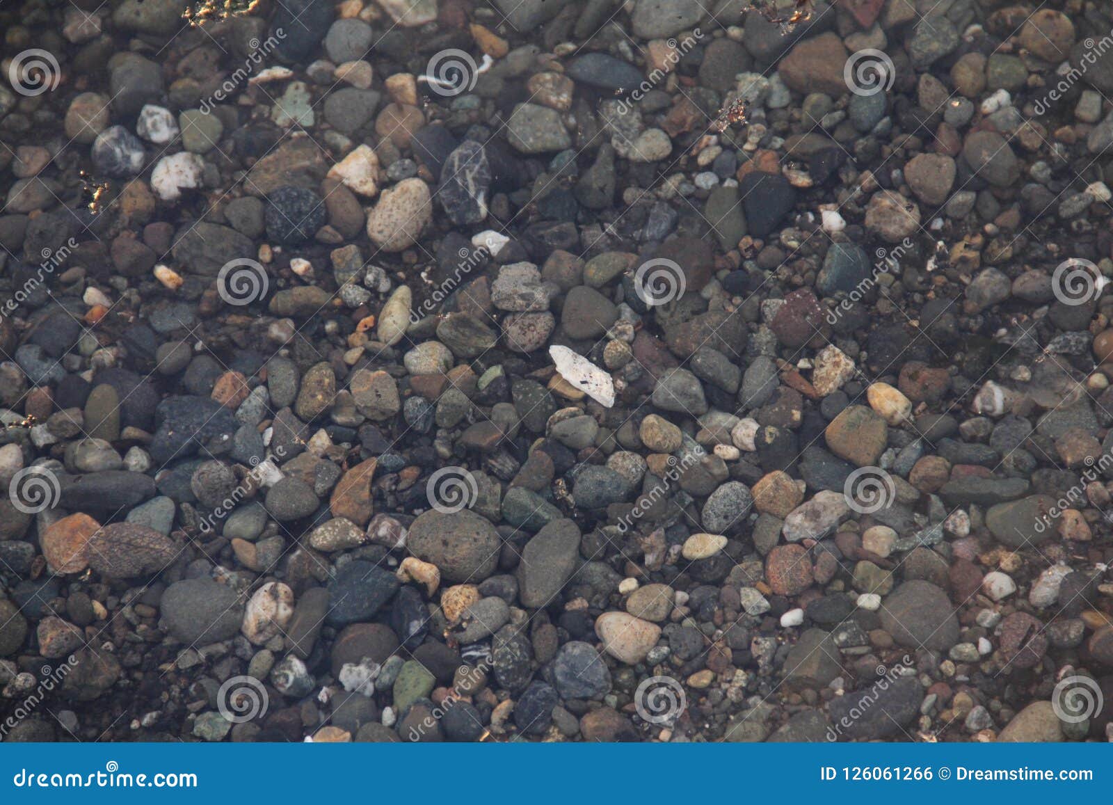 Pebbles Underwater at the Beach Stock Photo - Image of park, saltwater ...
