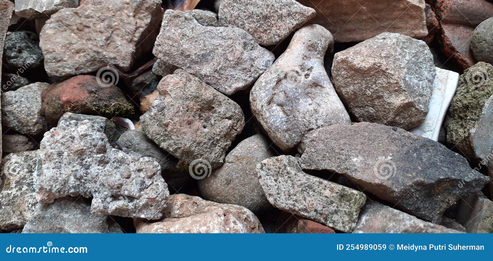 The Pebbles in the Yard Look Like Rocks Stock Image - Image of rocks ...