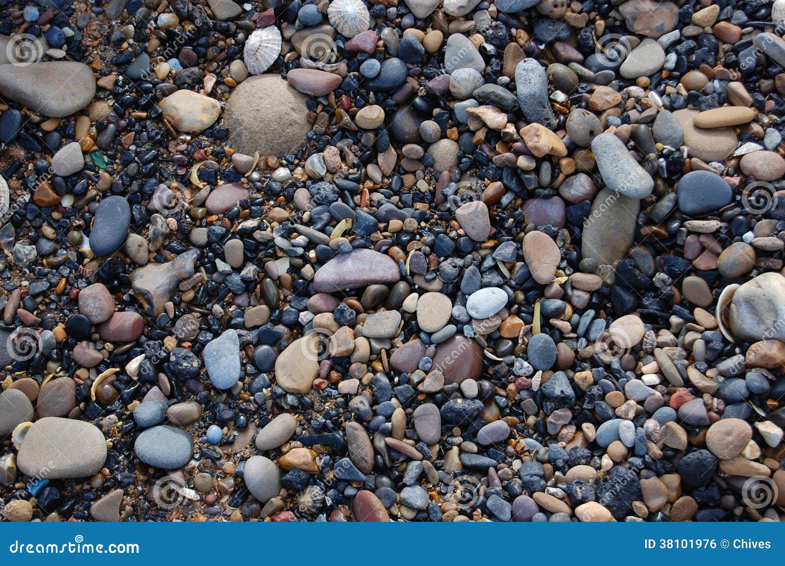 Pebbles1 stock photo. Image of seaside, stone, rock, green - 38101976