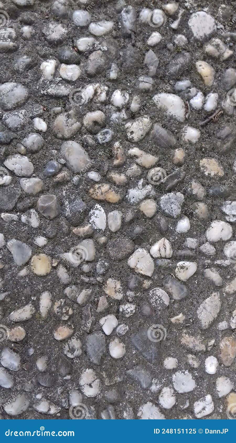Pebbly Pattern Background, Pebbles Embedded in Concrete. Stock Image ...