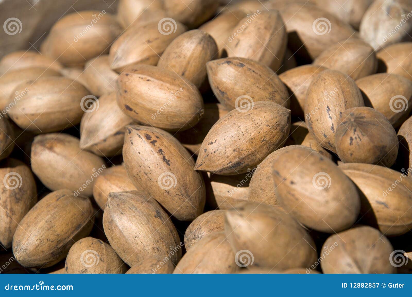 Pecan stock image. Image of group, pecan, nature, ingredient - 12882857