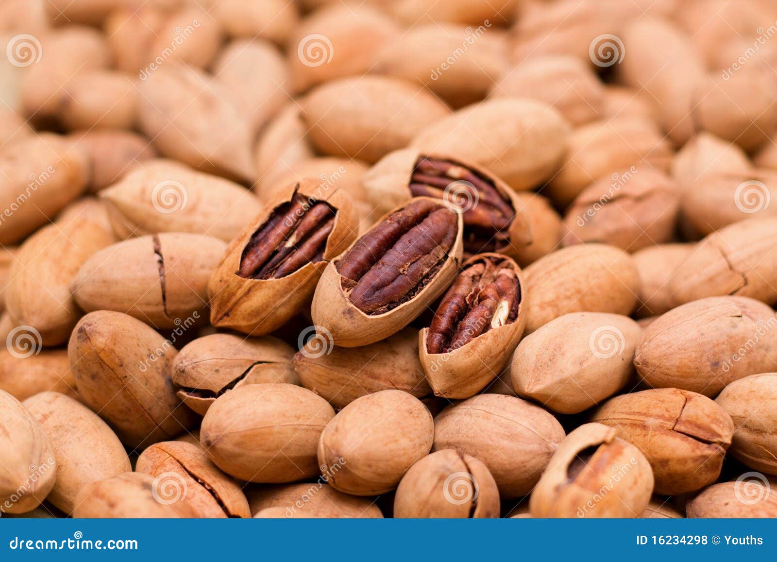 Pecan stock photo. Image of fats, closeup, carya, close - 16234298