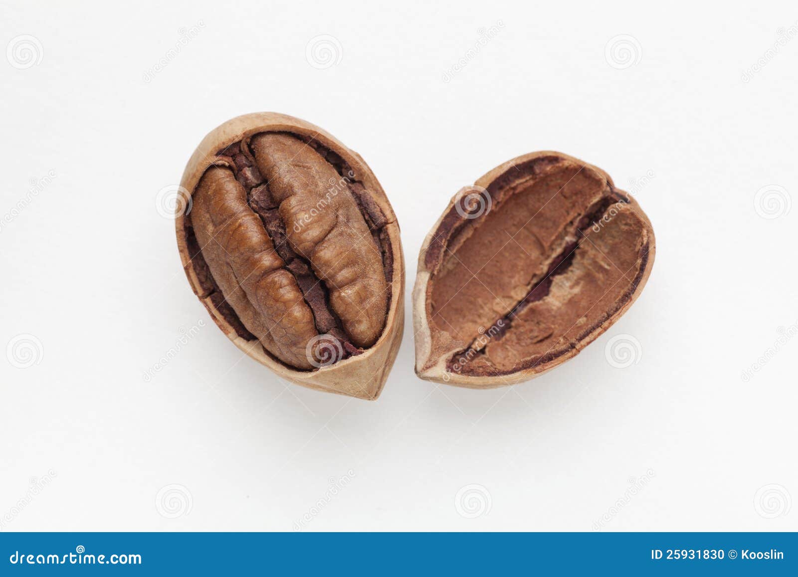 Pecan stock photo. Image of organic, food, snack, fresh - 25931830