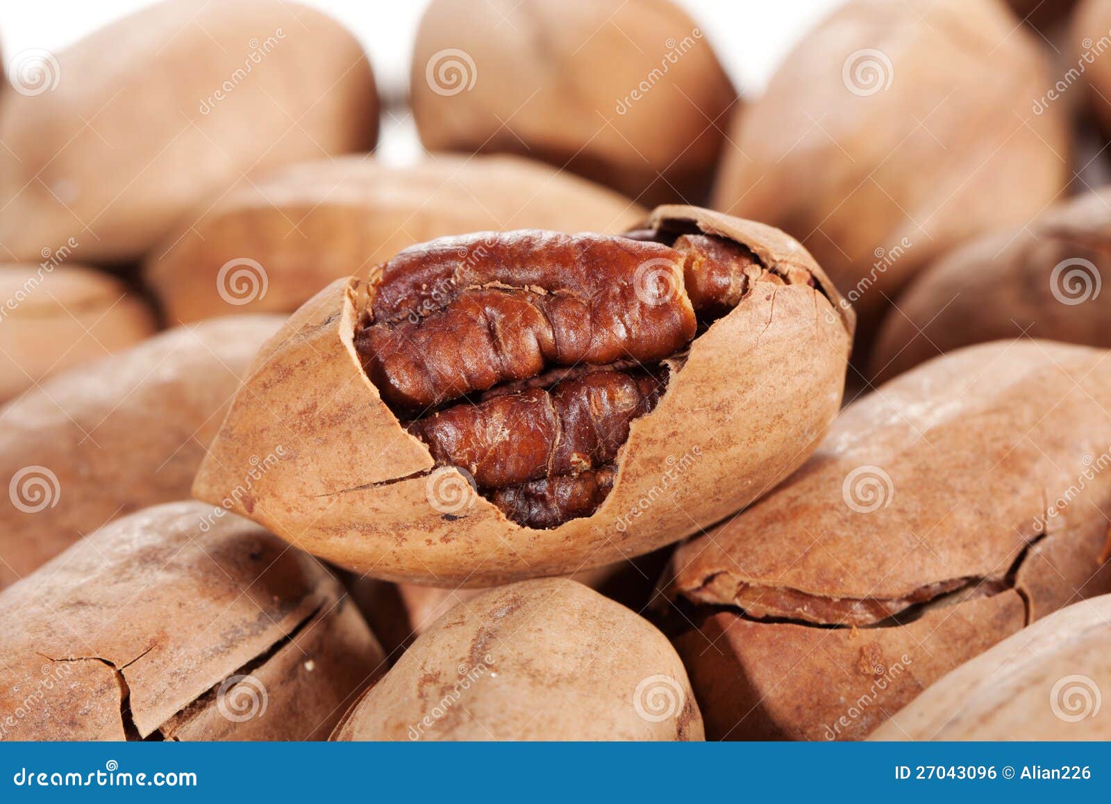Pecan stock photo. Image of nutritive, fruit, group, nourishing - 27043096