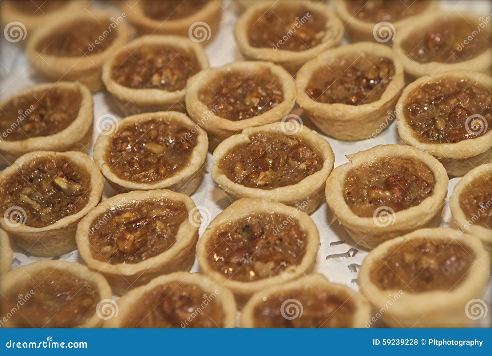 Pecan Delights stock photo. Image of nuts, bitesize, rows - 59239228