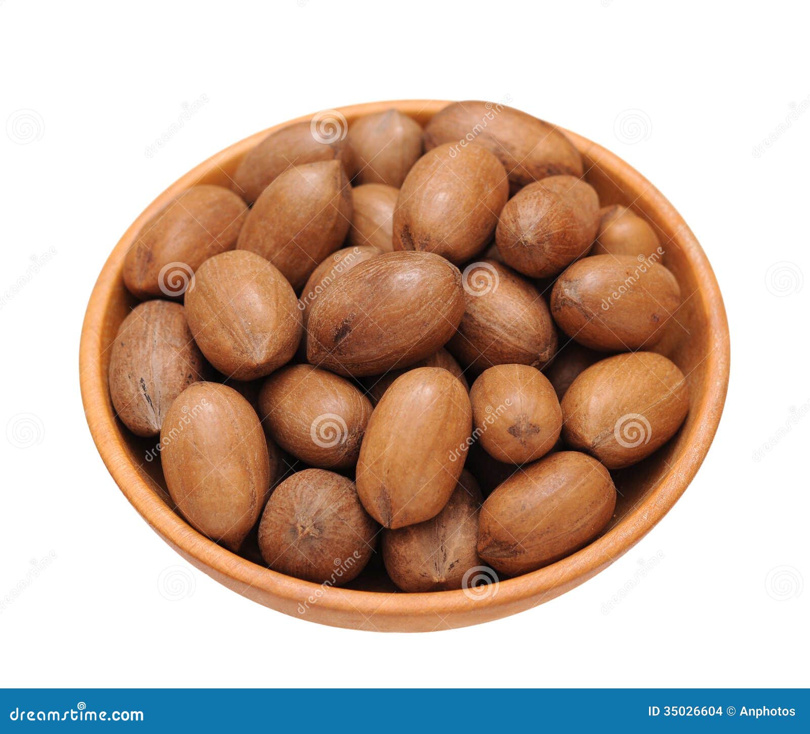 Pecan in hard shell stock photo. Image of brown, nature - 35026604