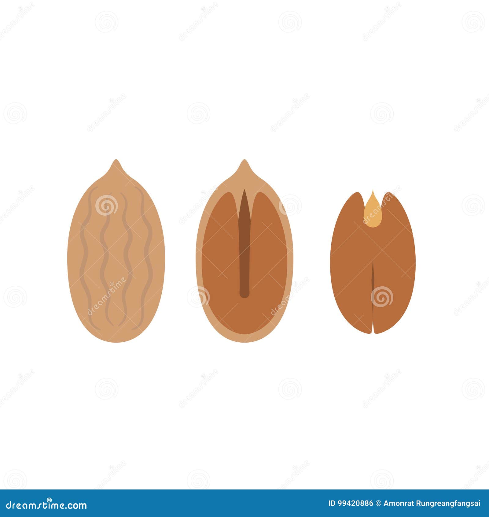 Pecan icon stock vector. Illustration of nature, healthy - 99420886