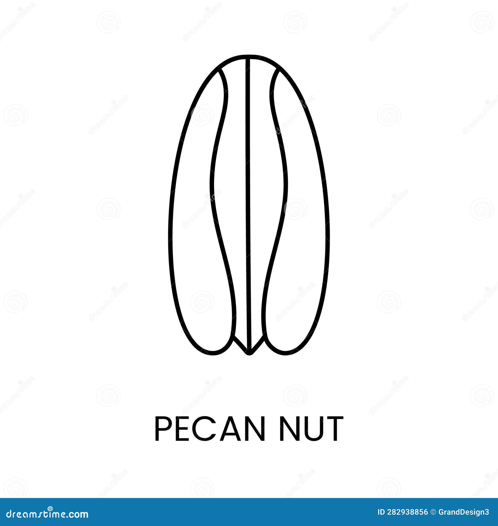 Pecan Icon in Vector Format Allows You To Experience the Richness and ...