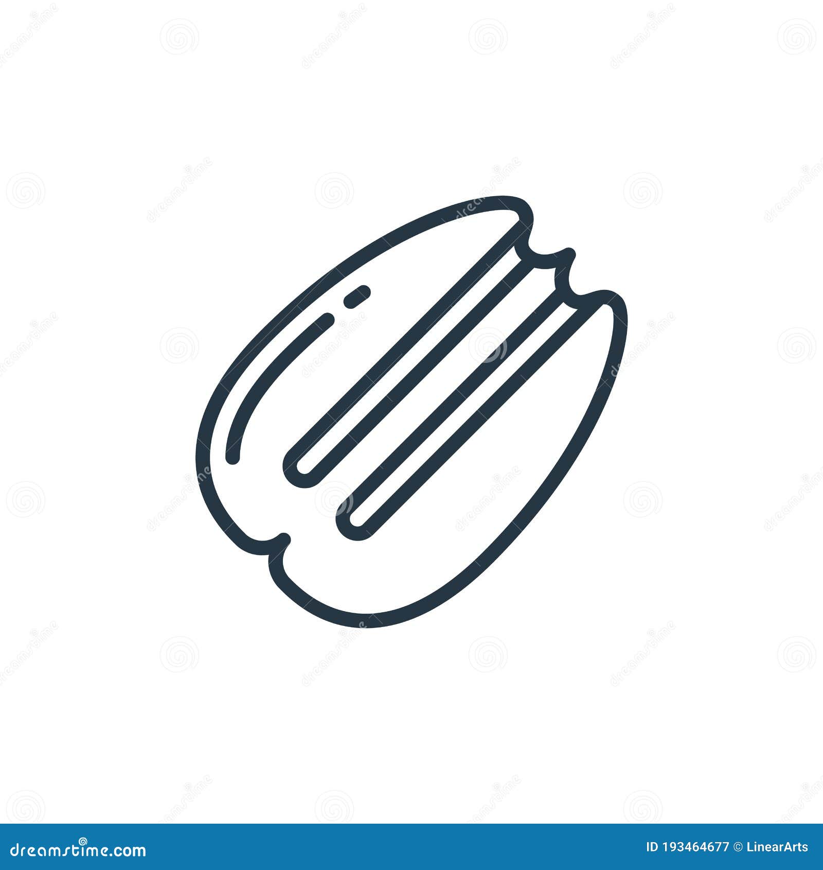 Pecan Icon Vector from Plants Concept. Thin Line Illustration of Pecan ...