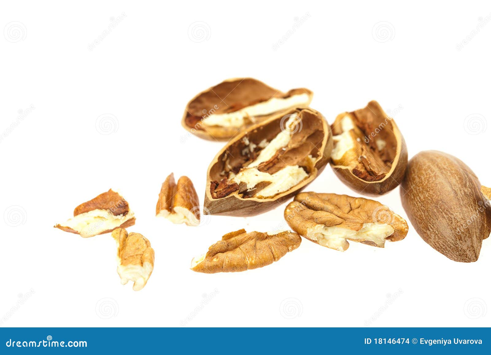 Pecan isolated on white stock photo. Image of ingredient - 18146474