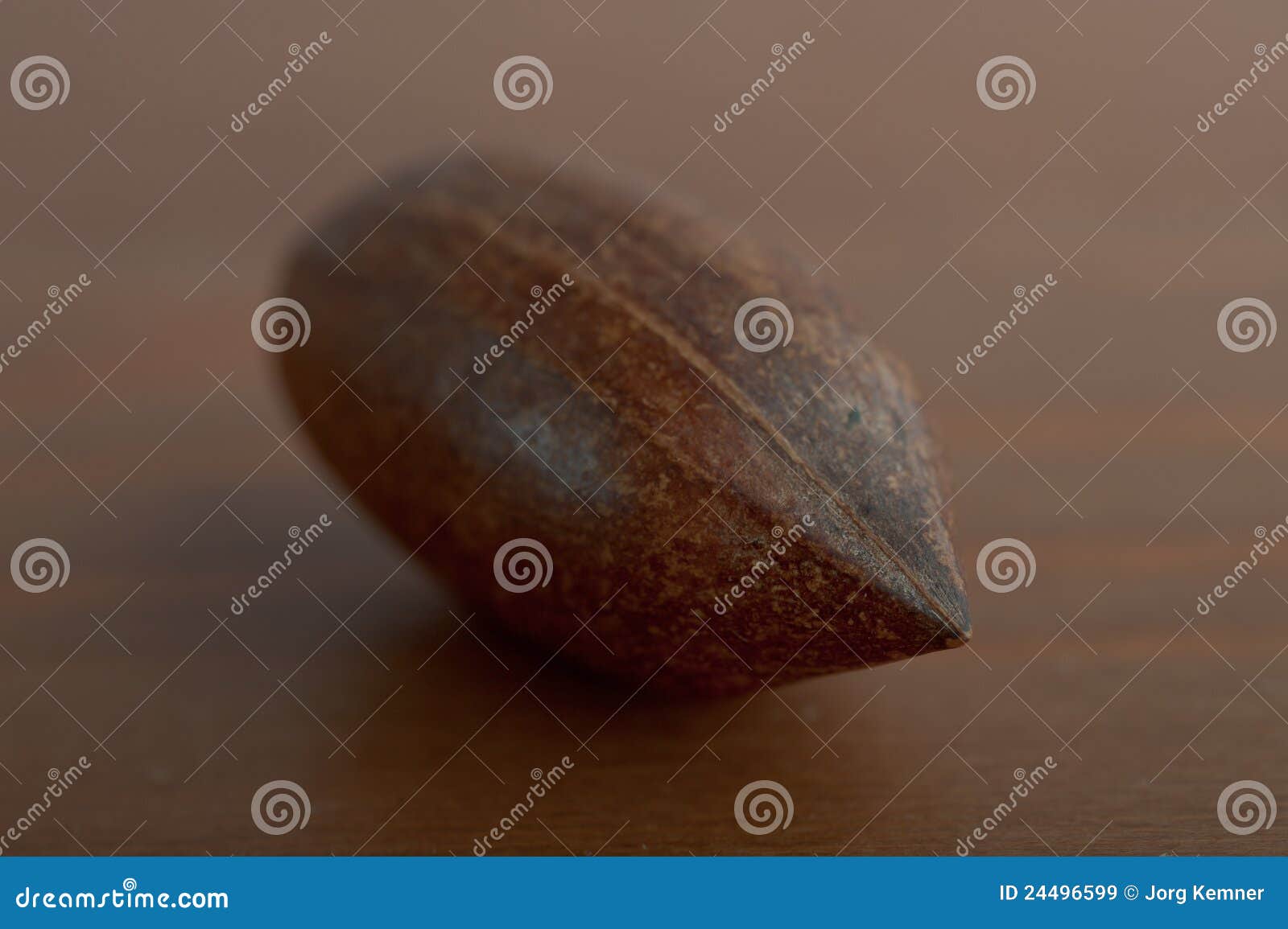 Pecan nut stock image. Image of natural, unopened, pecan - 24496599