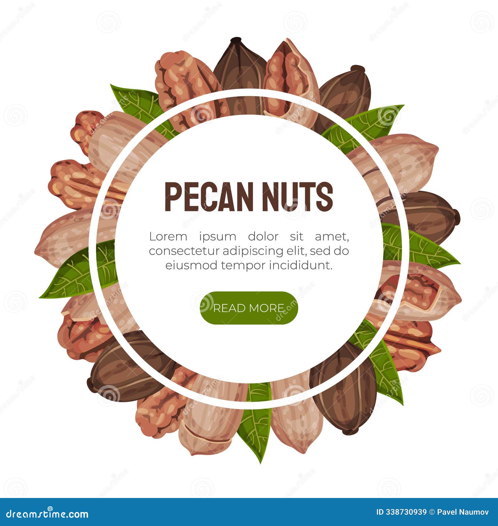 Pecan Nut Banner Design with Kernel and Shell Vector Template Stock ...