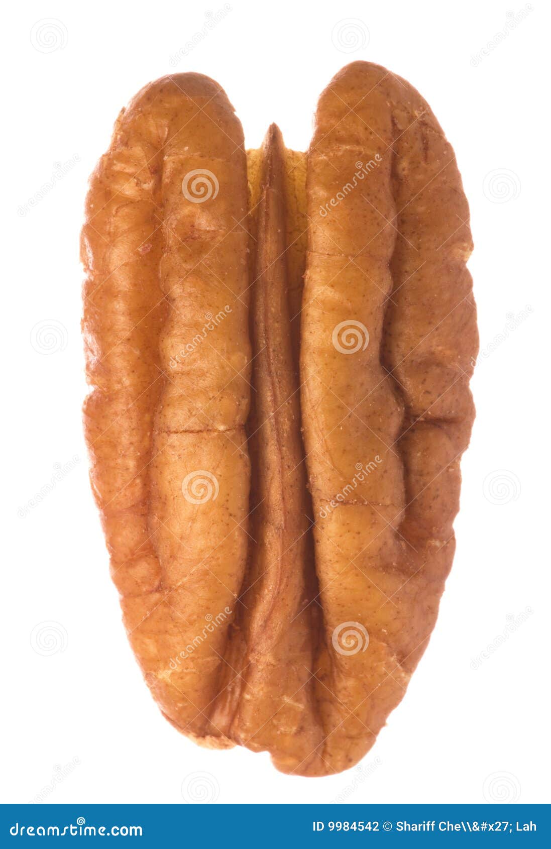 Pecan Nut Isolated stock photo. Image of healthy, detail - 9984542