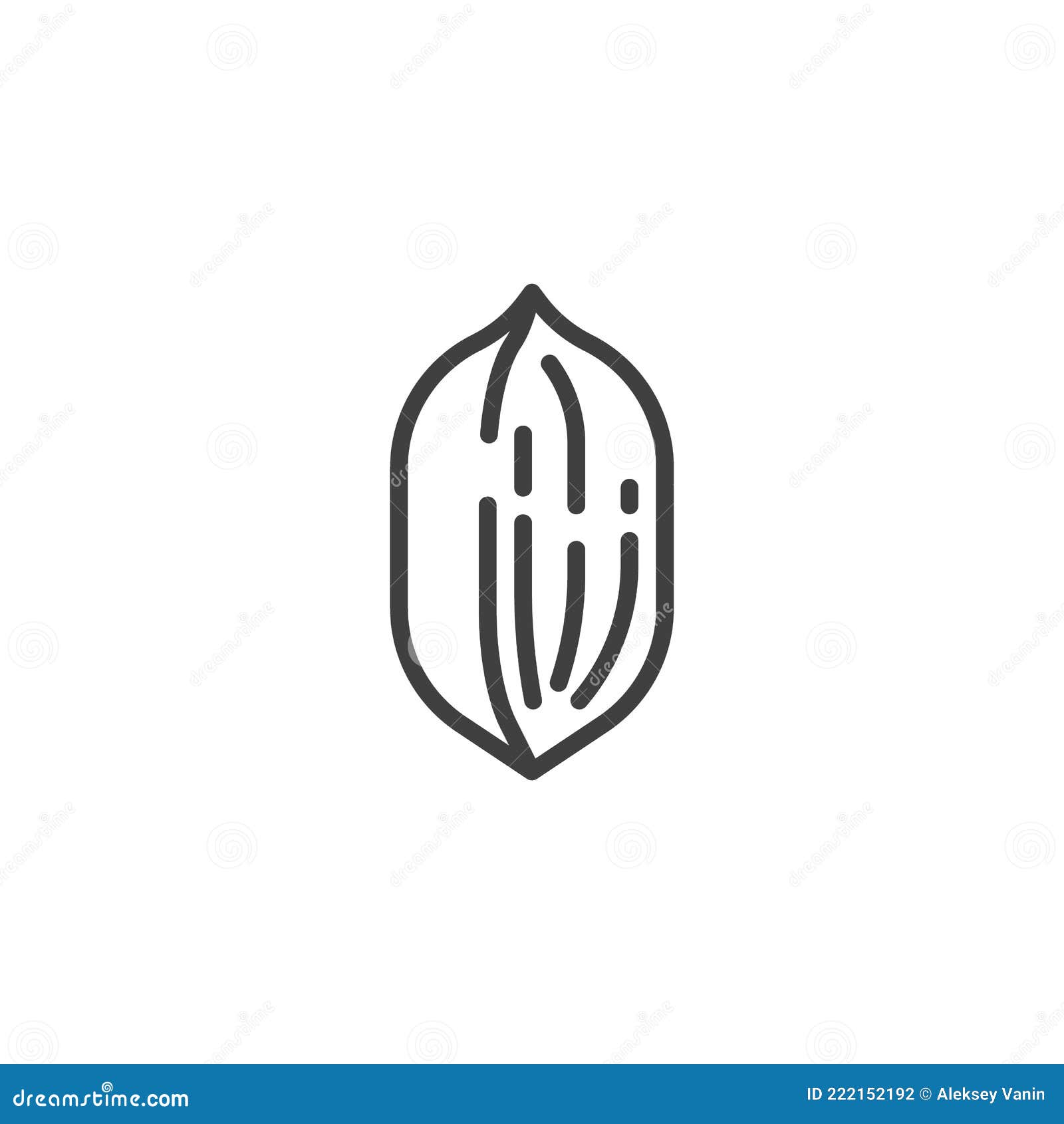 Pecan nut line icon stock vector. Illustration of symbol - 222152192