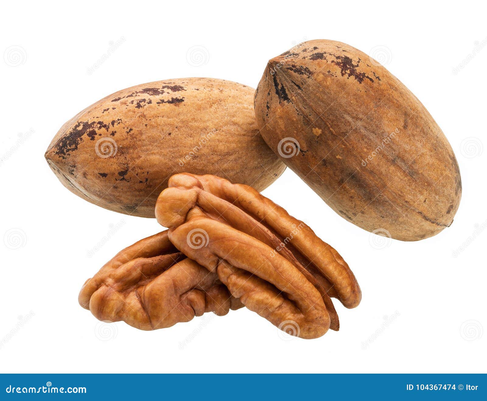 Pecan nut macro shot stock photo. Image of shell, nutrition - 104367474