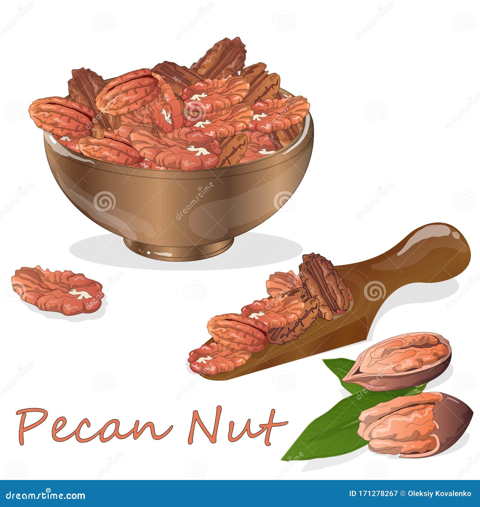 Pecan Nut Isolated On White Background Vector Illustration In Flat ...