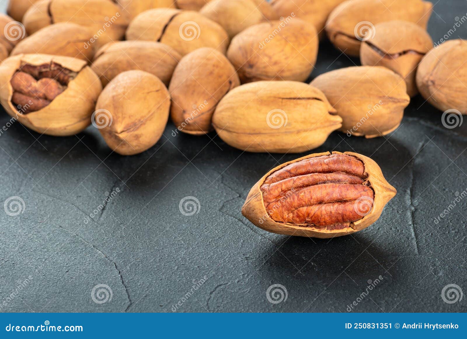 Pecan nut in shell closeup stock image. Image of cashew - 250831351