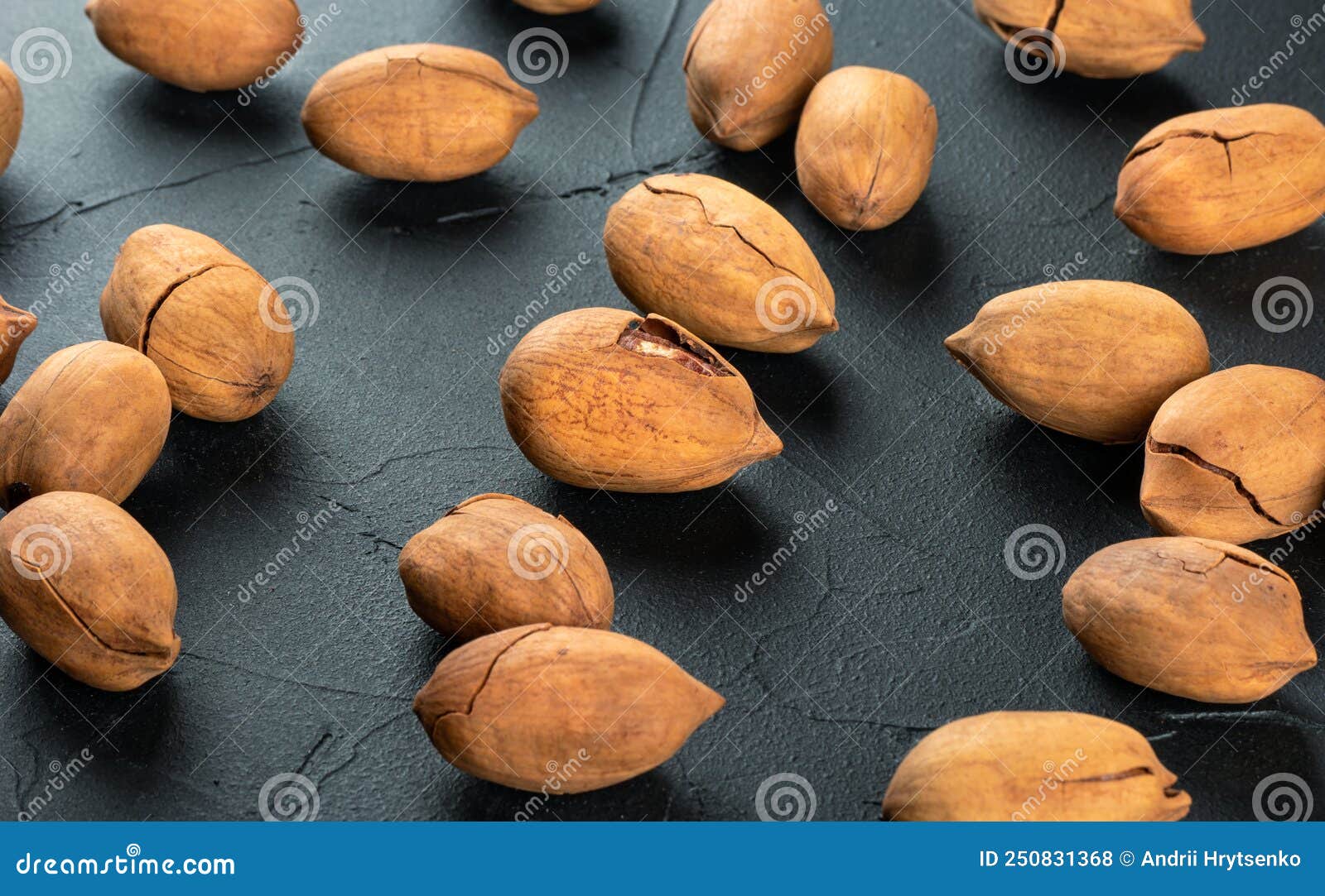 Pecan nut in shell stock photo. Image of large, lifestyles - 250831368