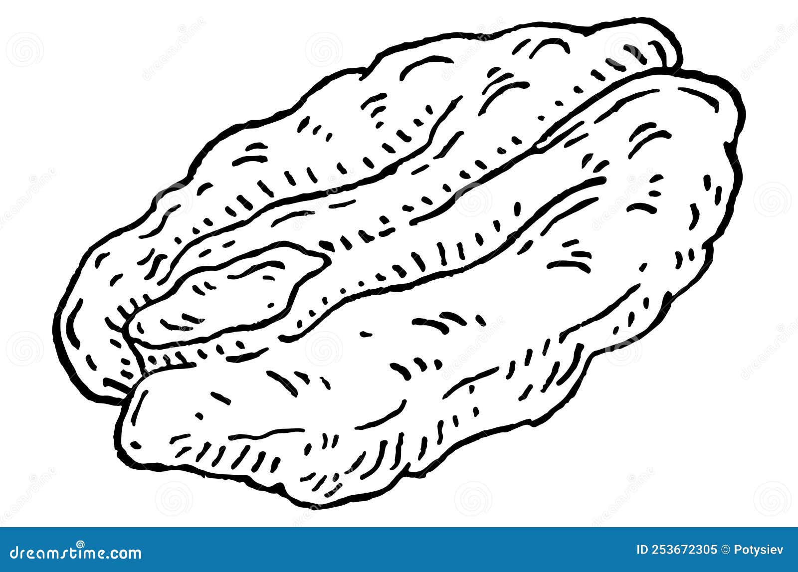 Pecan Nut In Shell And Peeled Kernels, Vector Illustration On White ...