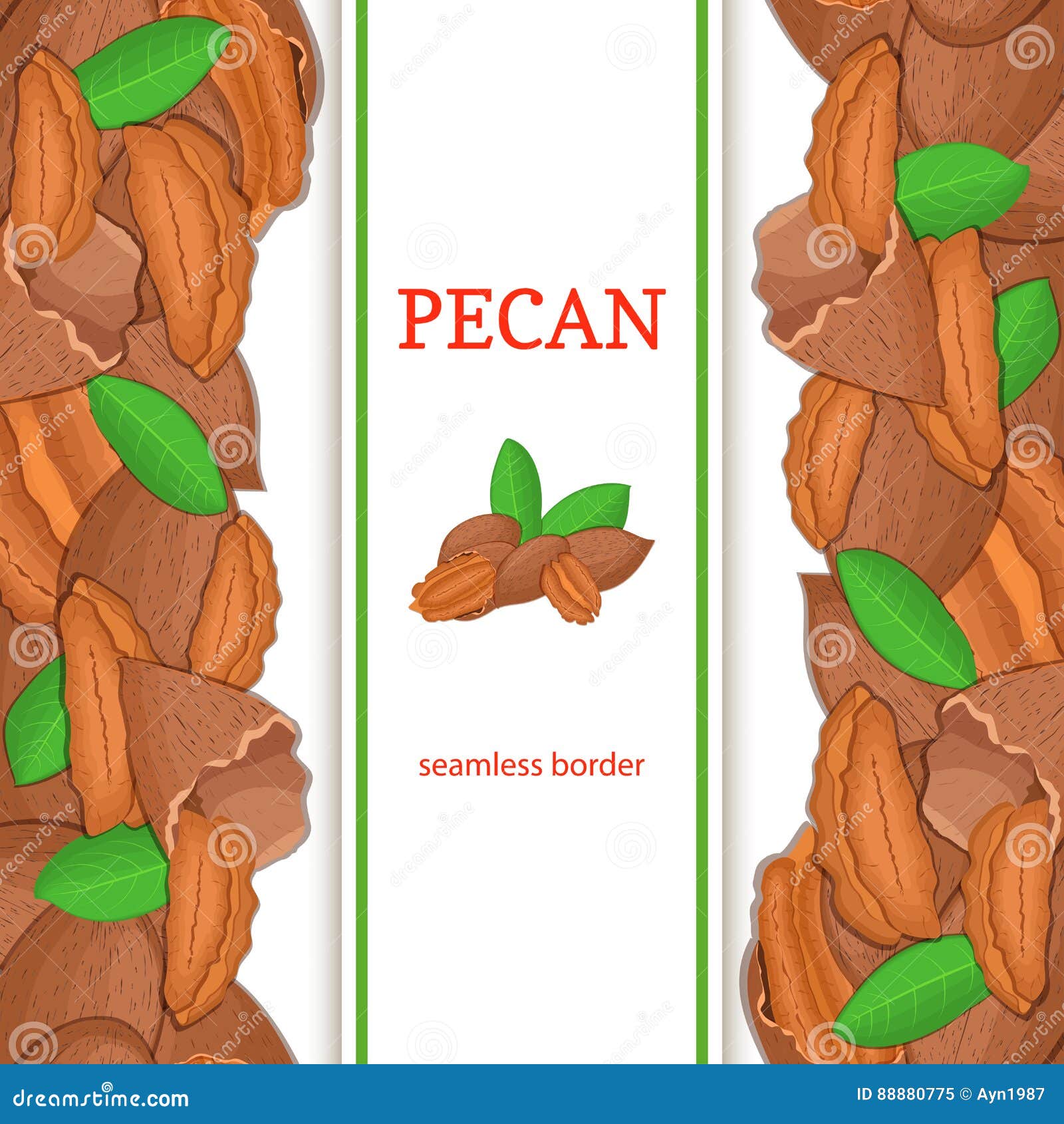 Pecan Nut Vertical Seamless Border. Vector Illustration with ...