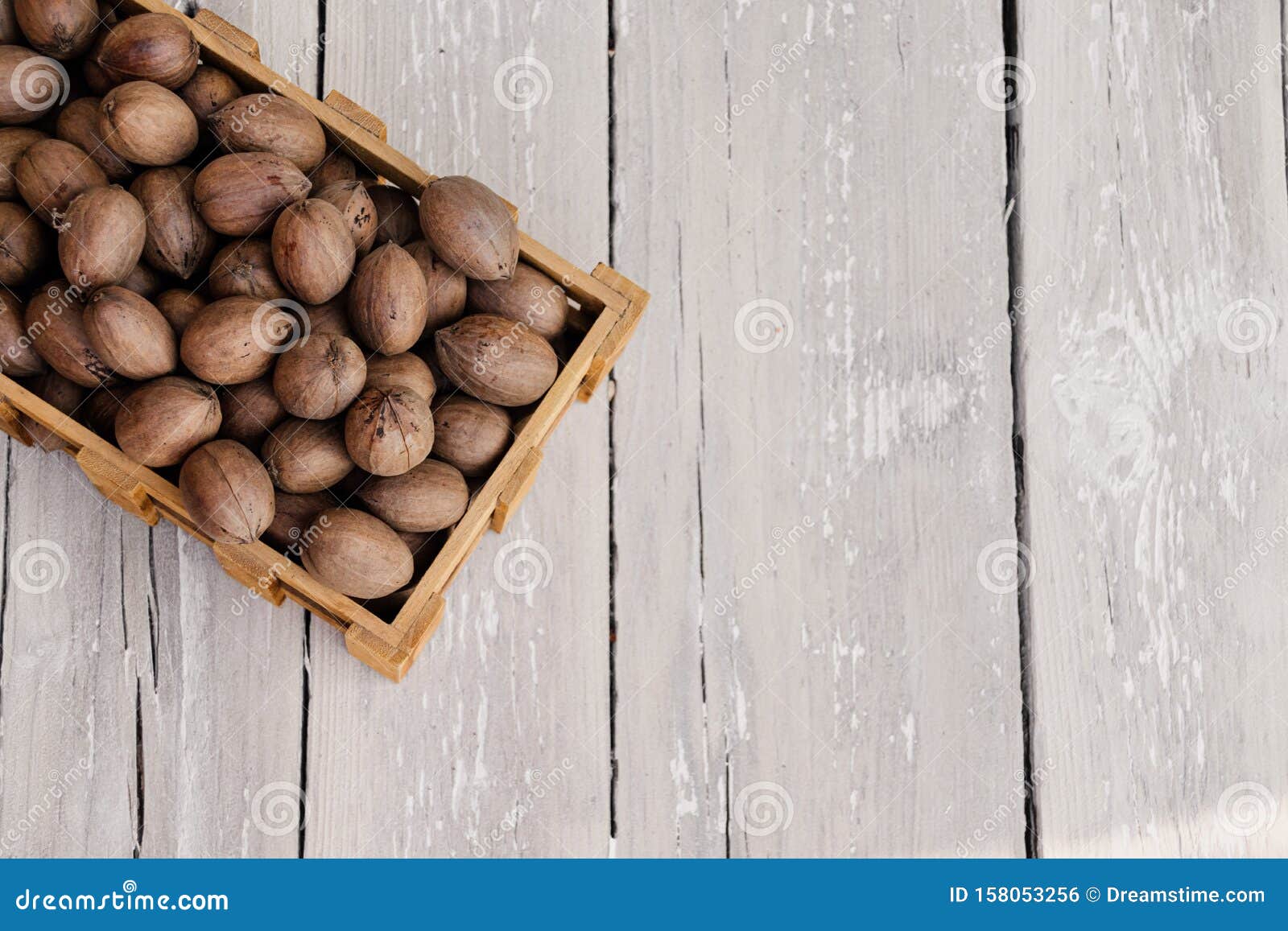 Pecan Nut on Wooden Log stock photo. Image of natural - 158053256