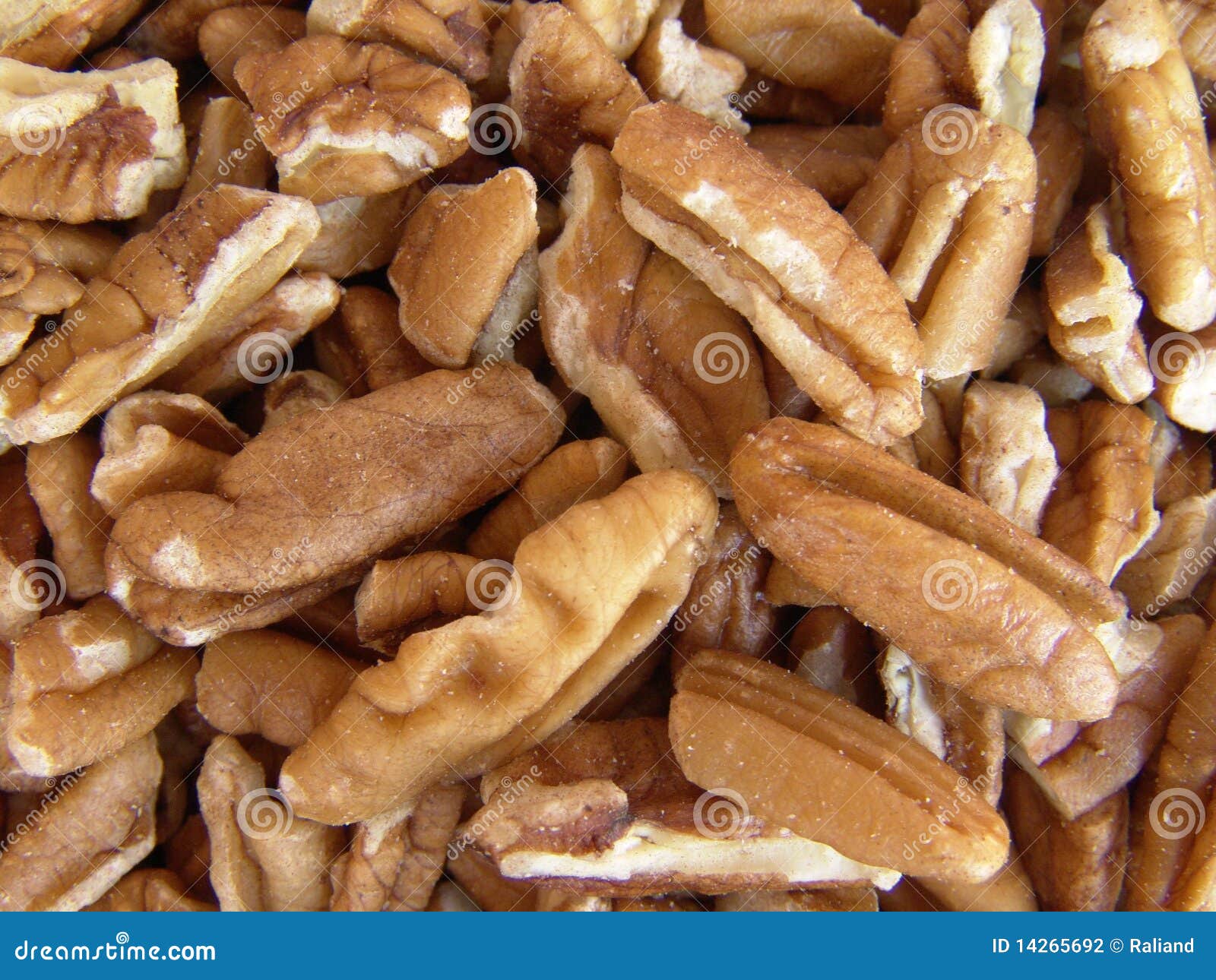 Pecan Nuts stock photo. Image of pecan, folate, fatty - 14265692