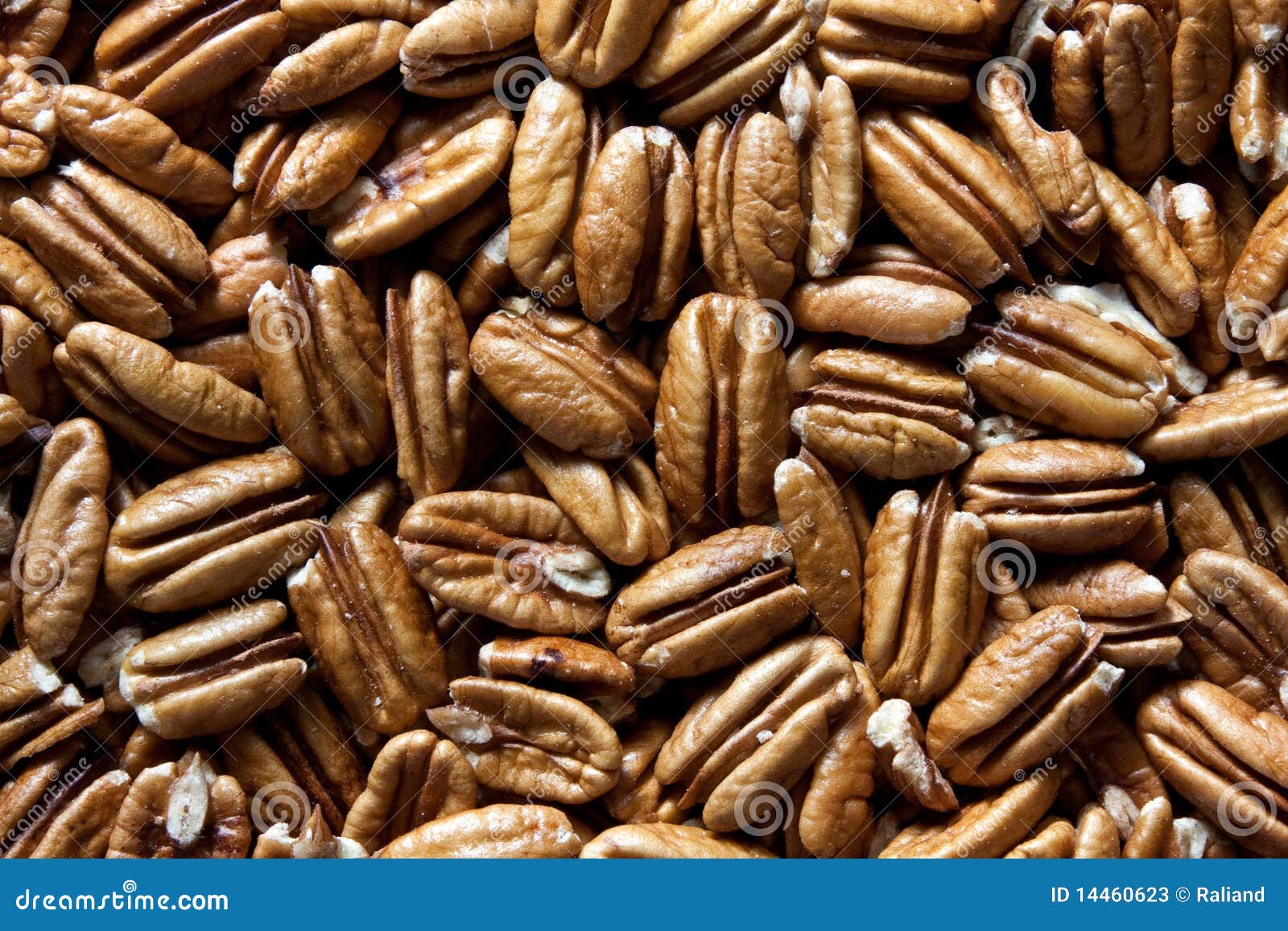 Pecan Nuts In Their Husks, Clustered Together Stock Photo ...