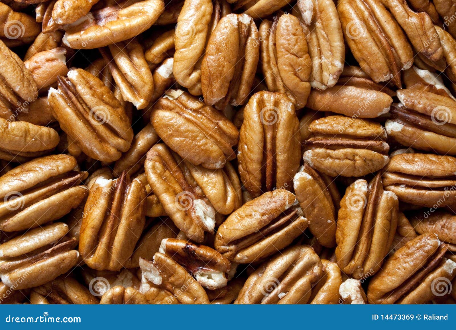 Pecan nuts stock image. Image of copper, mono, antioxidant - 14473369