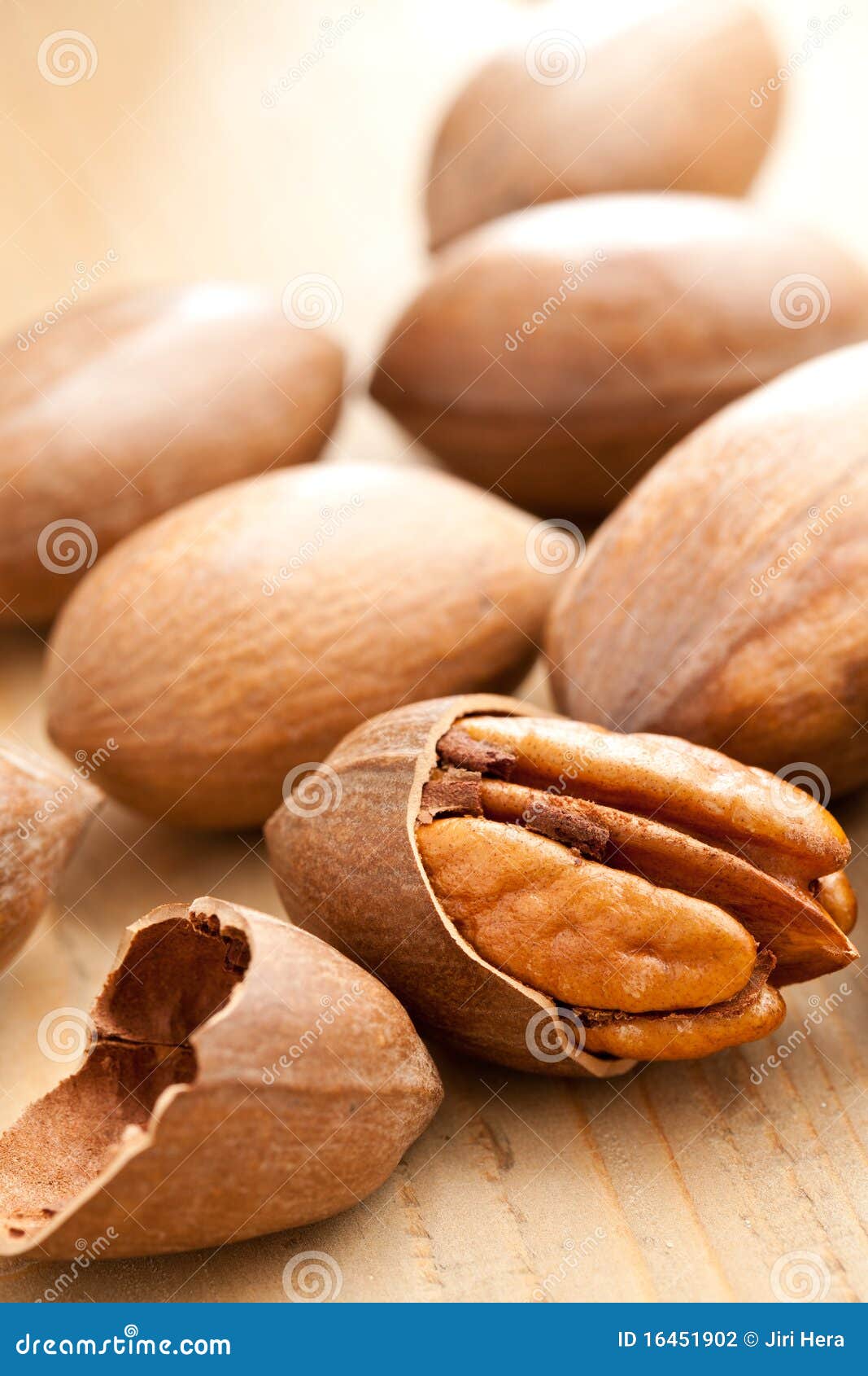 Pecan nuts stock photo. Image of shell, seasonal, diet - 16451902