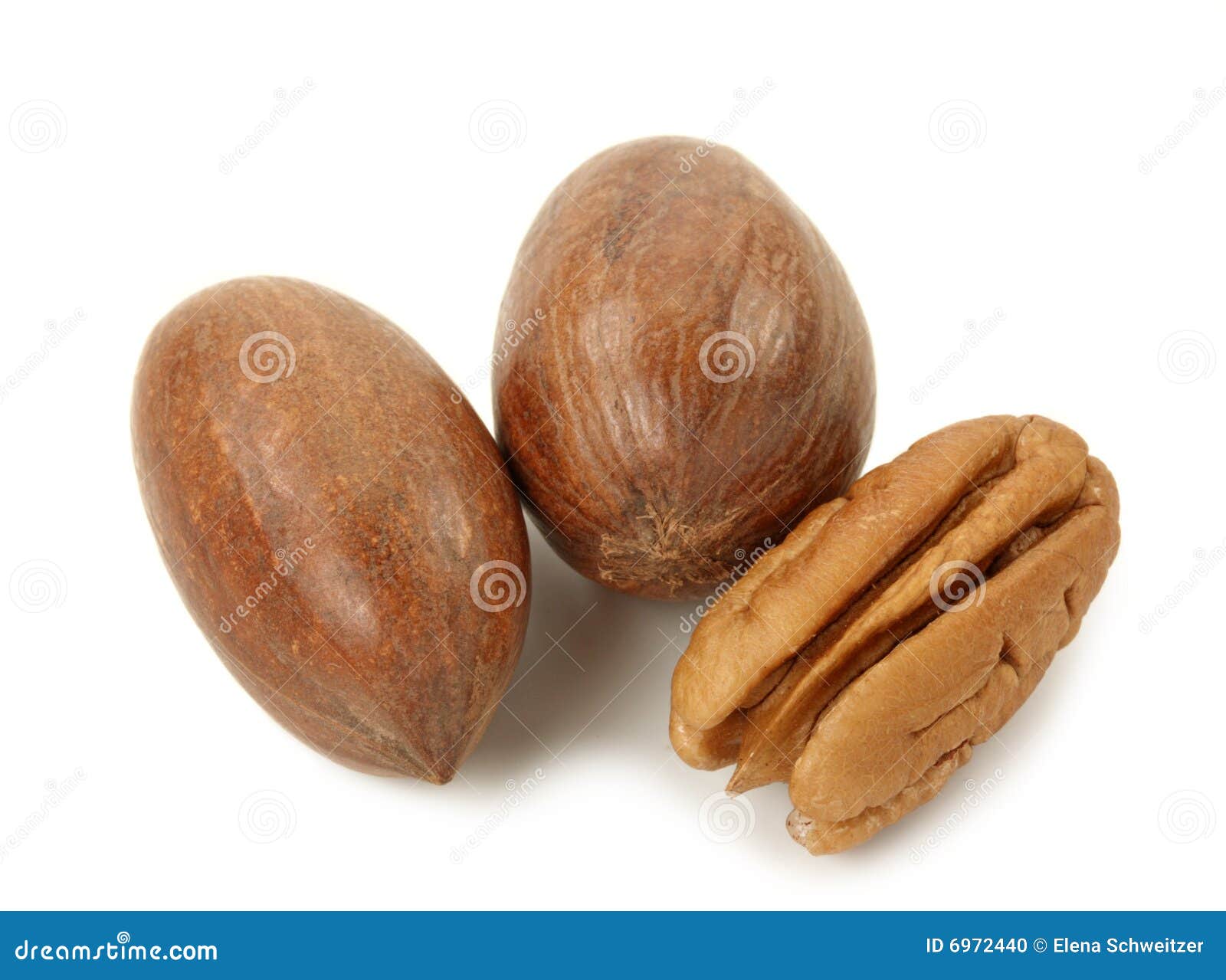 Pecan nuts stock photo. Image of nuts, edible, fruit, protein - 6972440