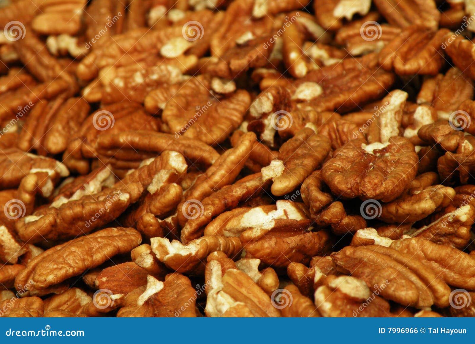 Pecan nuts stock photo. Image of shopping, christmas, pecan - 7996966