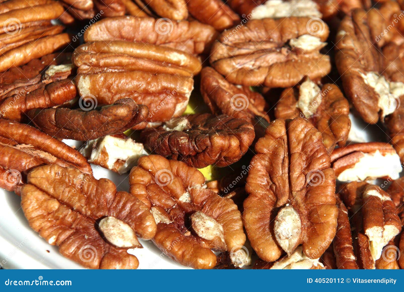 Pecan stock photo. Image of nuts, illinoinensis, dried - 40520112