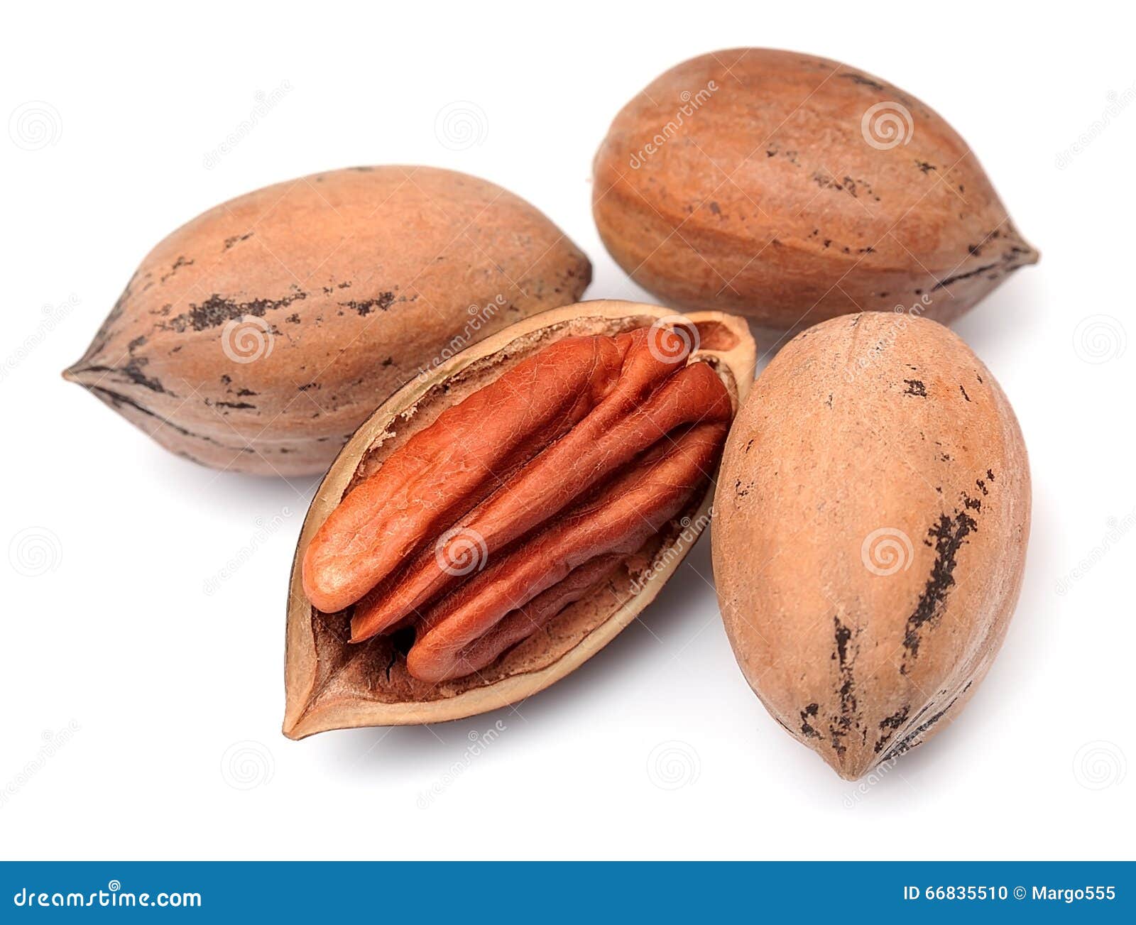 Pecan nuts stock photo. Image of diet, food, closeup - 66835510