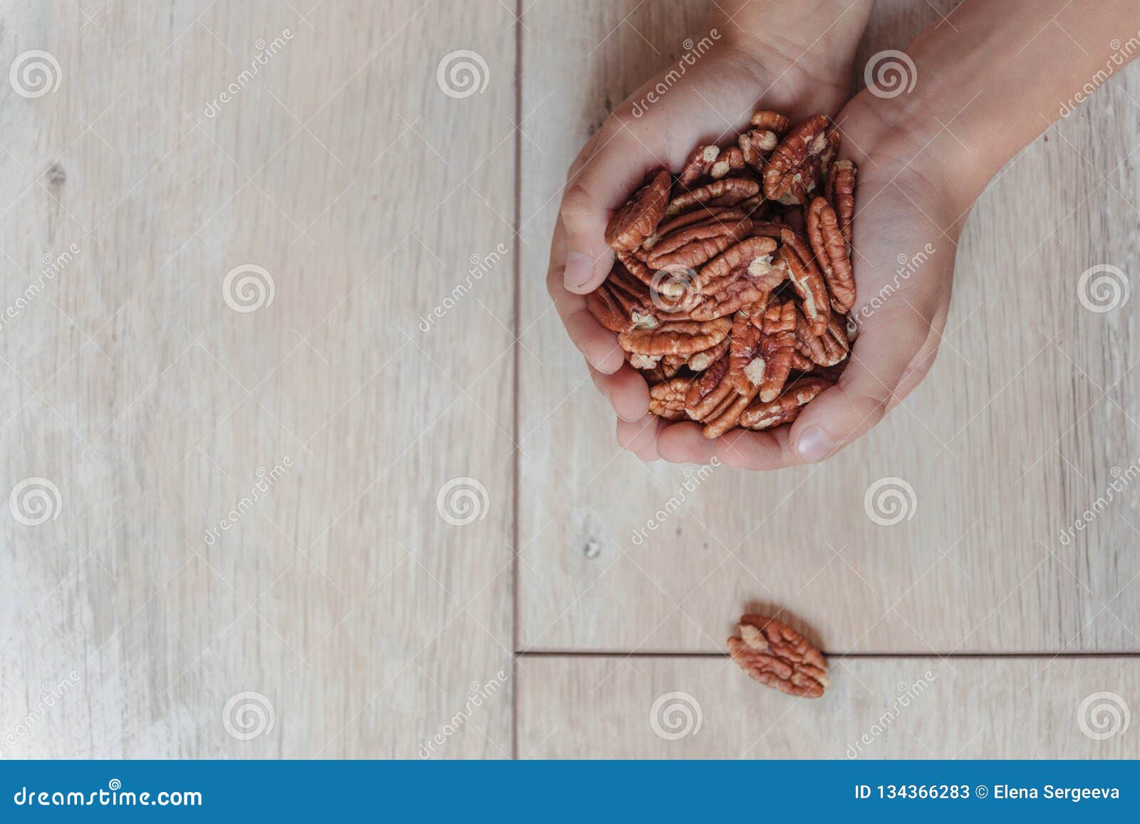 Pecan nuts in hands stock image. Image of group, organic - 134366283