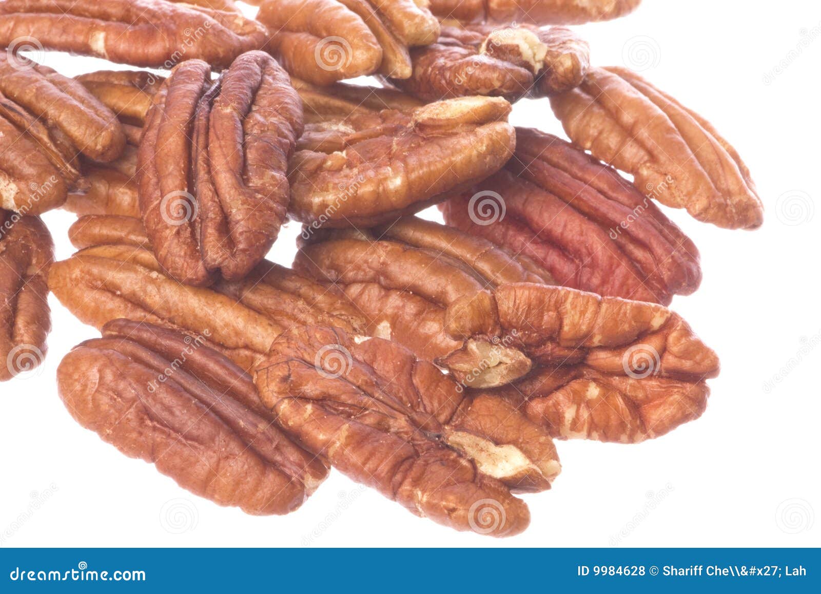 Pecan Nuts Isolated stock photo. Image of detail, natural - 9984628
