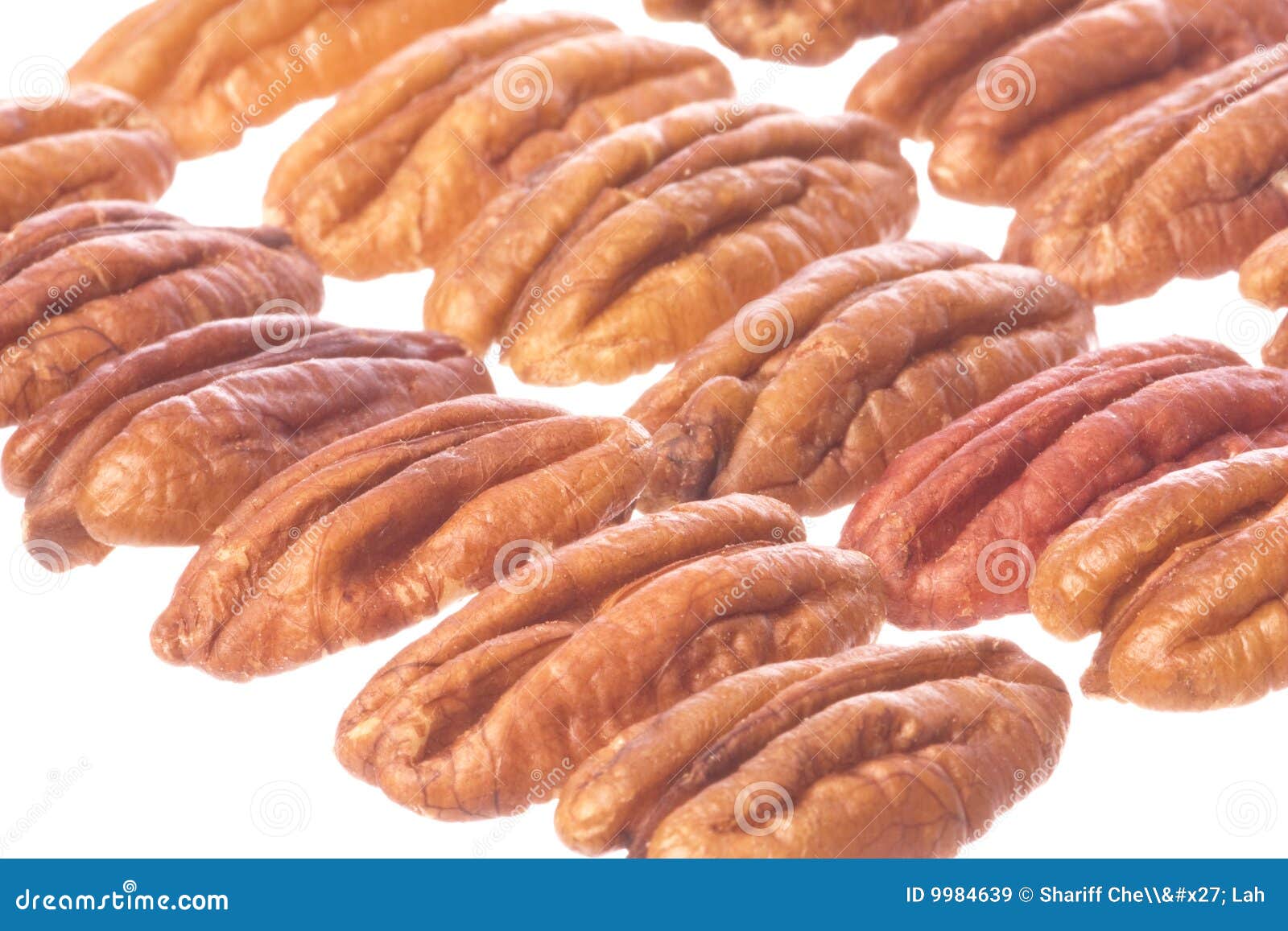 Pecan Nuts Isolated stock image. Image of food, produce - 9984639