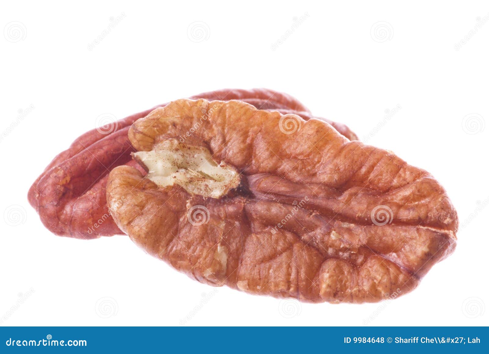 Pecan Nuts Isolated stock photo. Image of snack, seed - 9984648