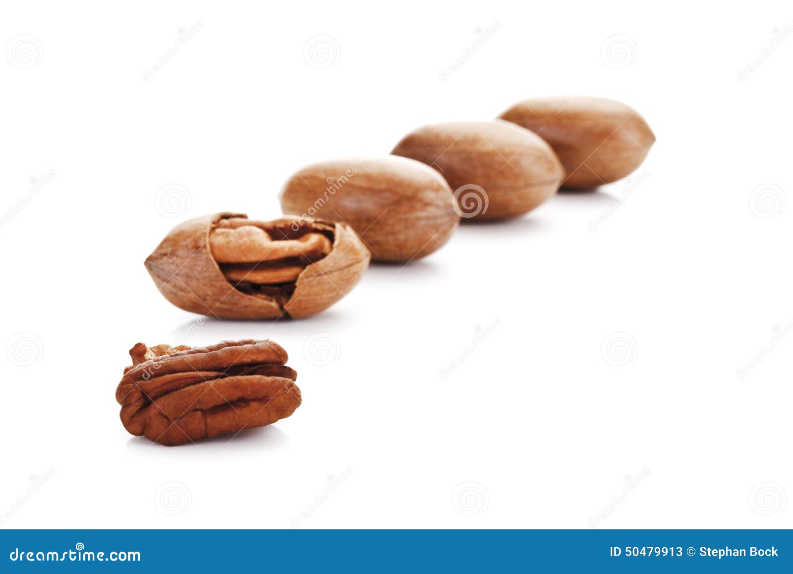 Pecan nuts with kernel stock image. Image of brown, pecan - 50479913
