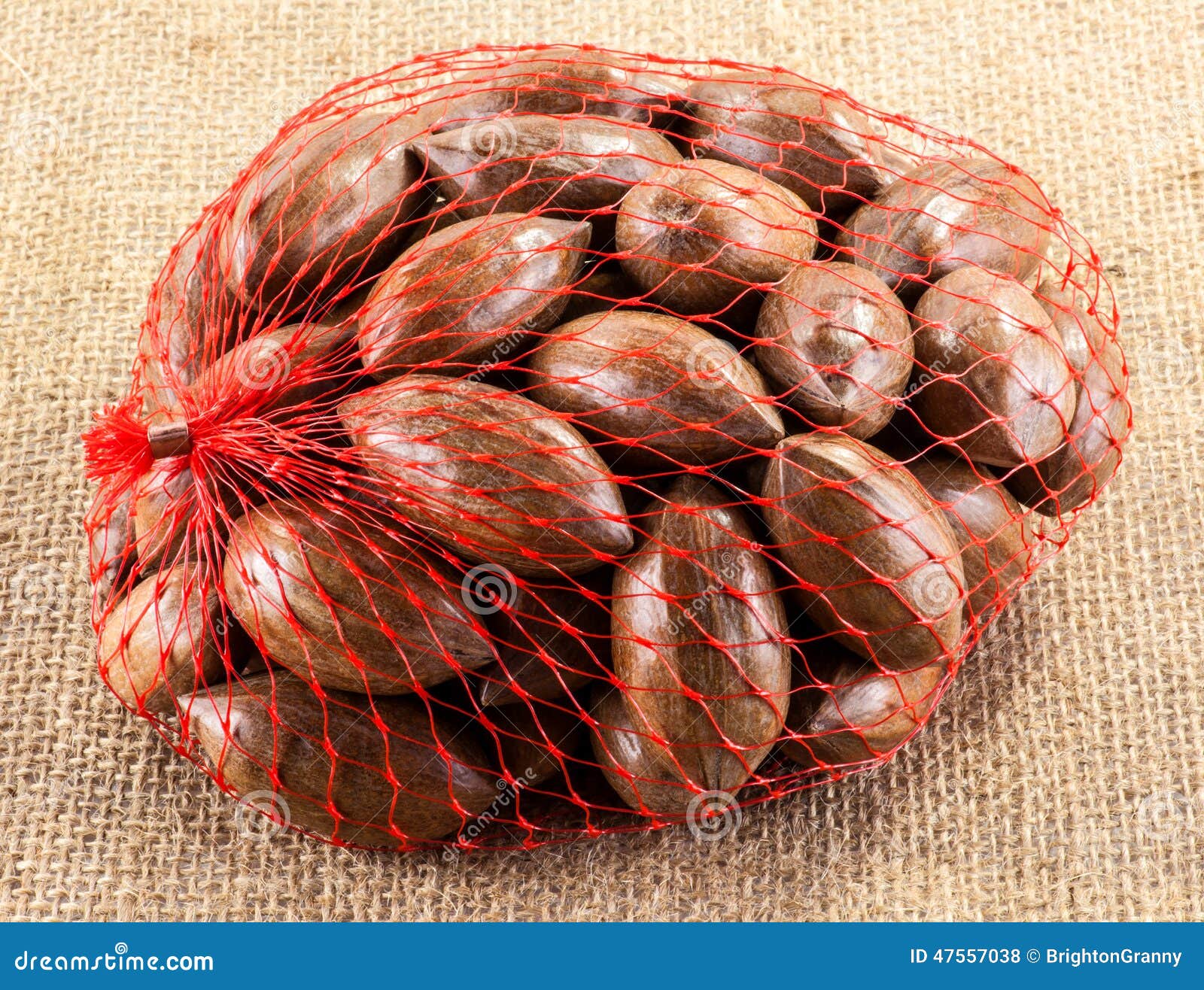 Pecan nuts in net stock photo. Image of seed, protein - 47557038