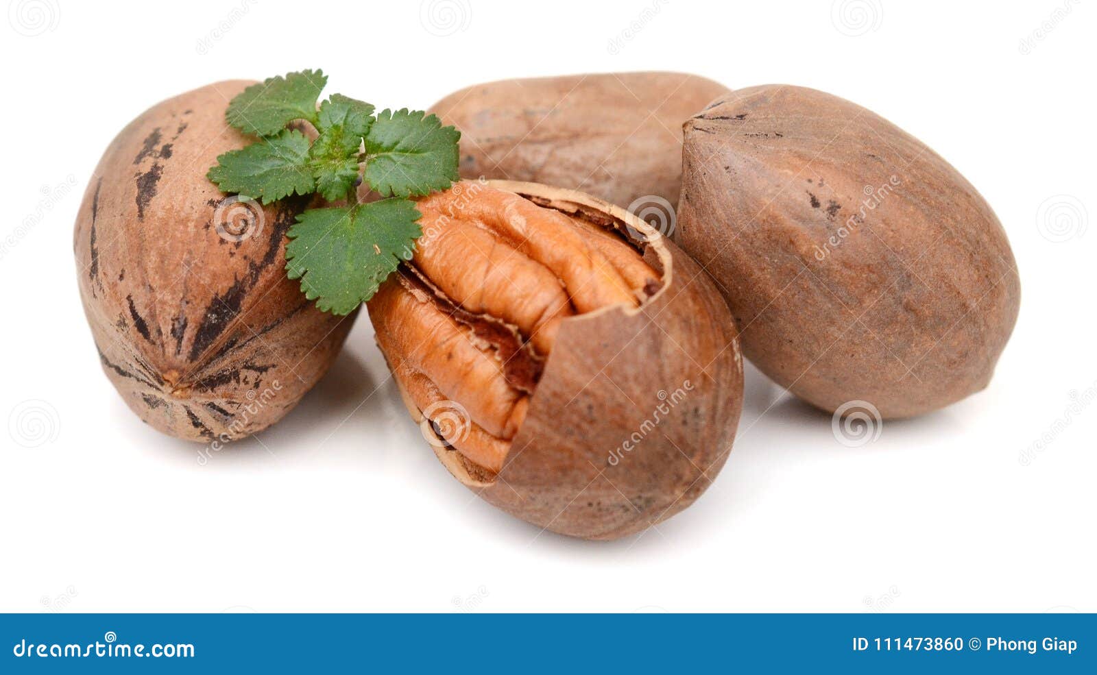 Pecan nuts stock photo. Image of pecan, heart, good - 111473860