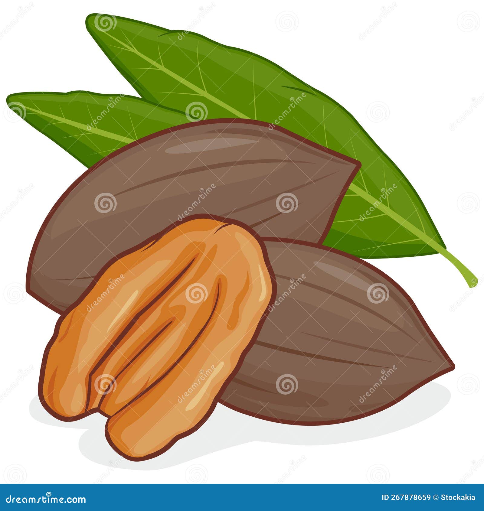 Pecan Nuts Labels With Brush Stroke Elements. Cartoon Drawn Pecans ...