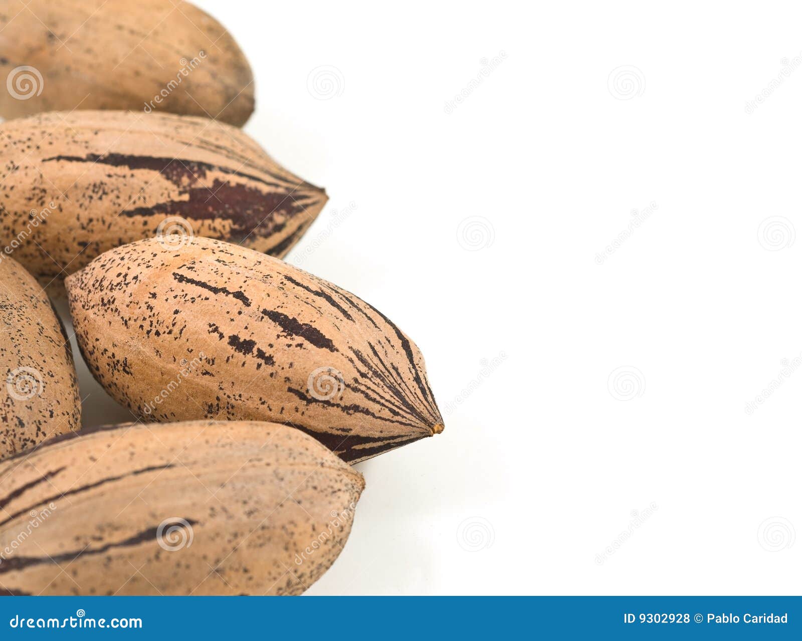 Pecan Nuts on White Background. Stock Photo - Image of eating, brown ...