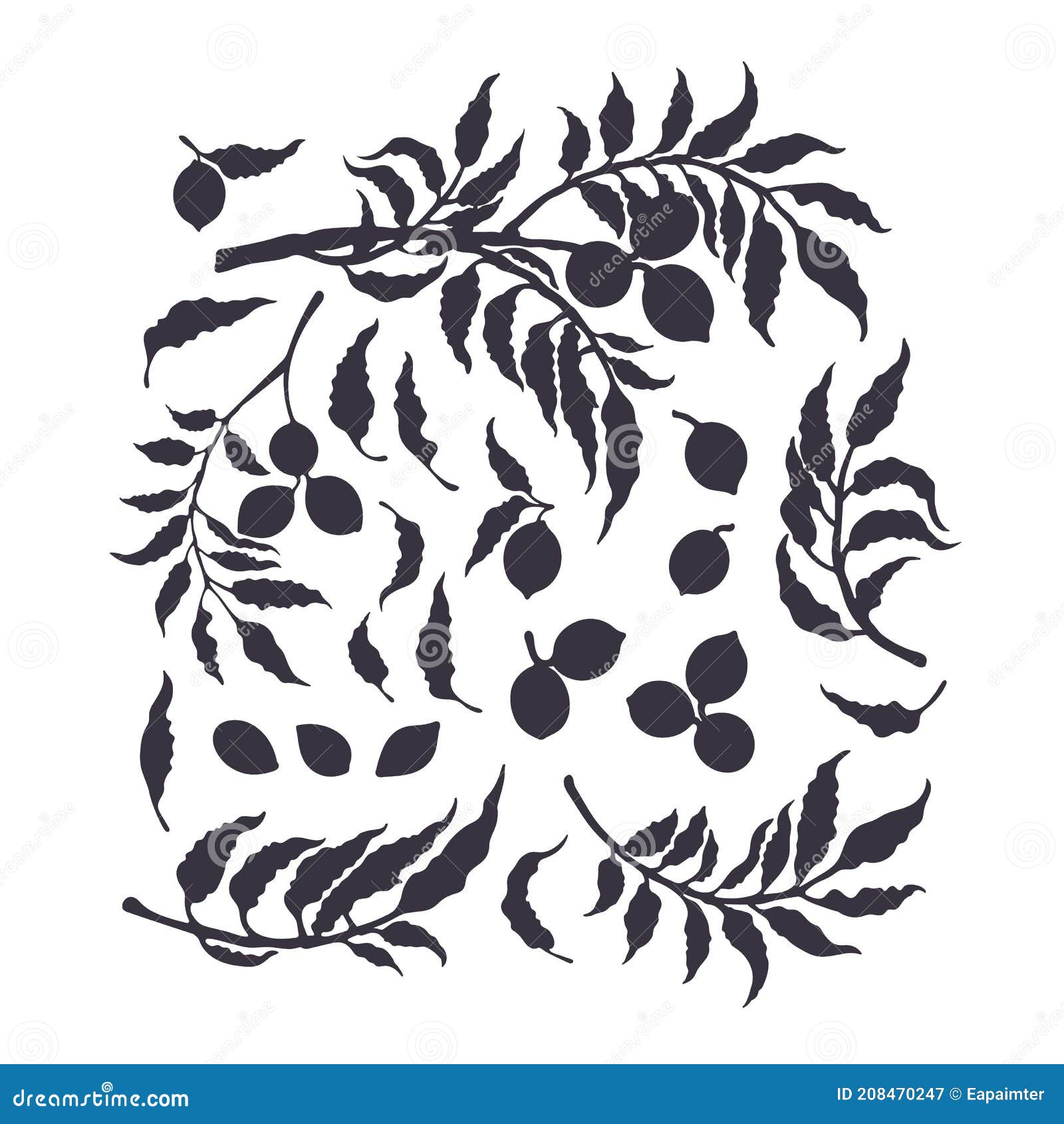 Pecan Set. Vector Silhouette. Botanical Bio Shape Stock Vector ...